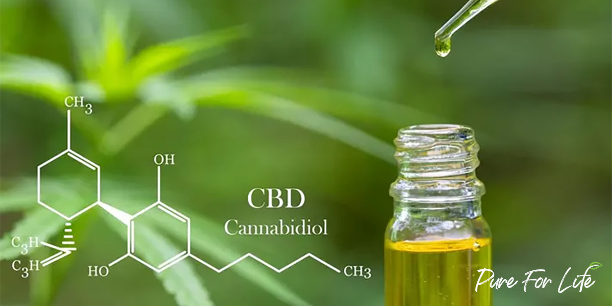 Science of CBD Absorption in Our Body | Pure for Life™